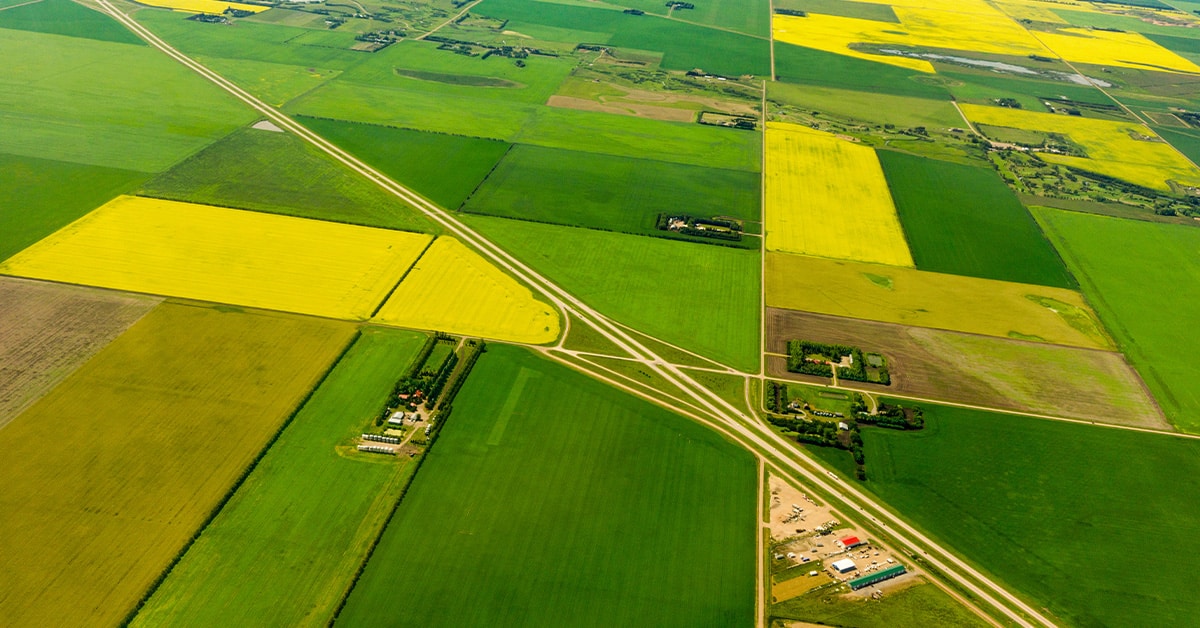 Northern Strands Group of Companies